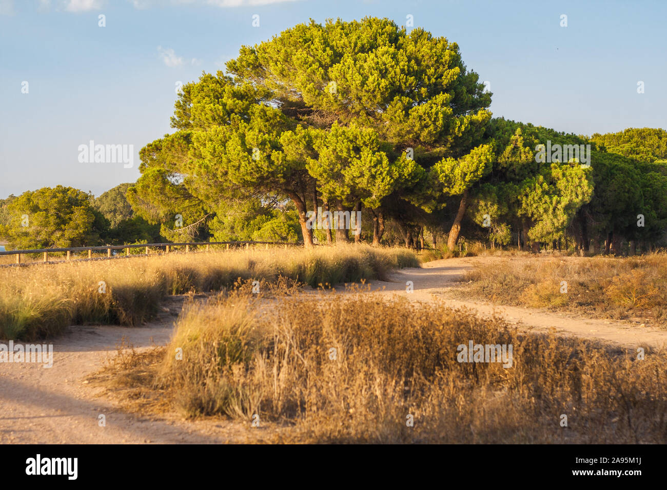 Beautiful view of the national natural Mediterranean reserve - a wild ...