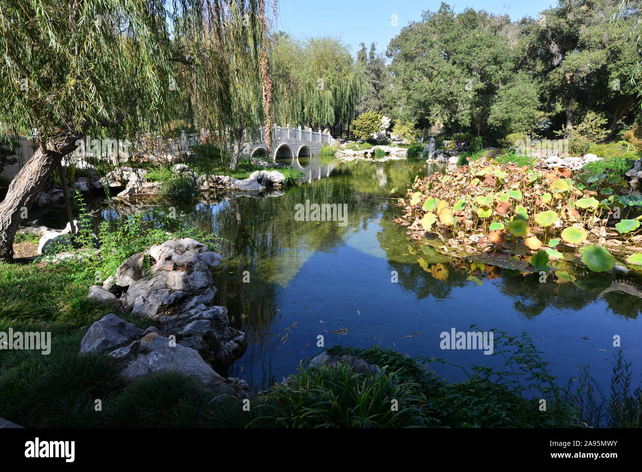 Pond at a Japanese garden in California Stock Photo - Alamy