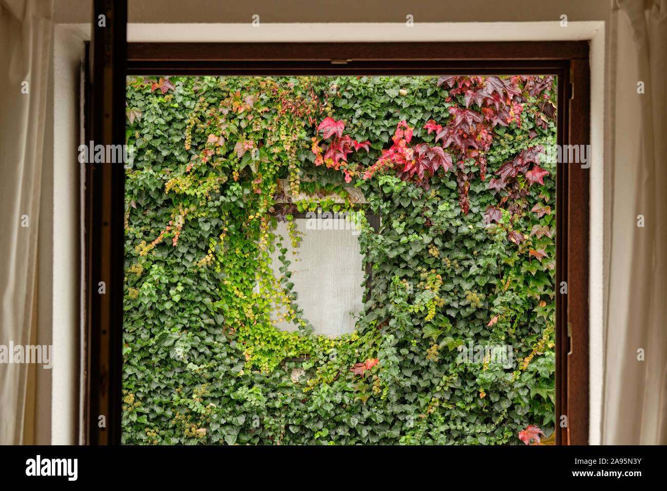 Climbing out window hi-res stock photography and images - Alamy