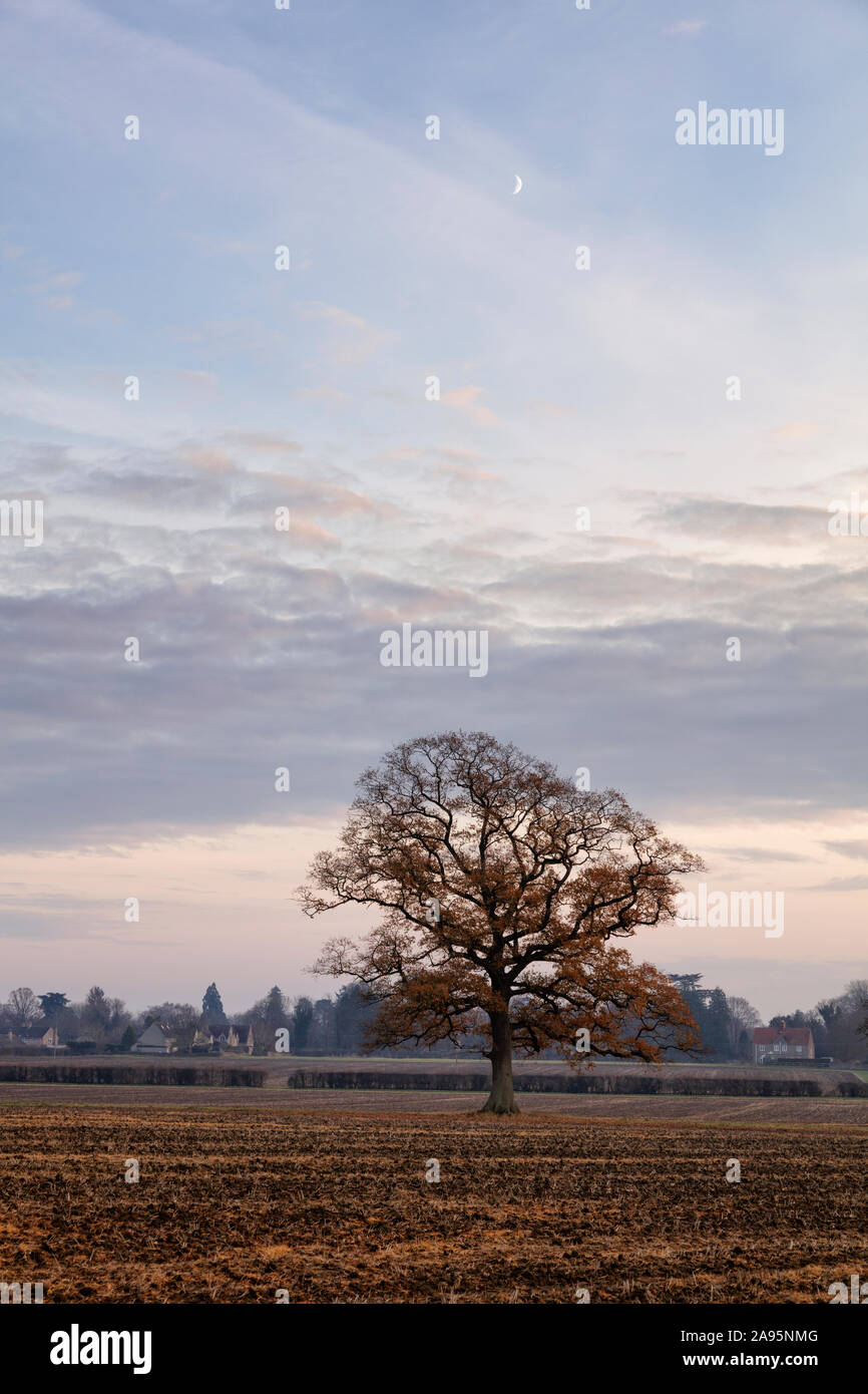 Lone atmospheric hi-res stock photography and images - Alamy