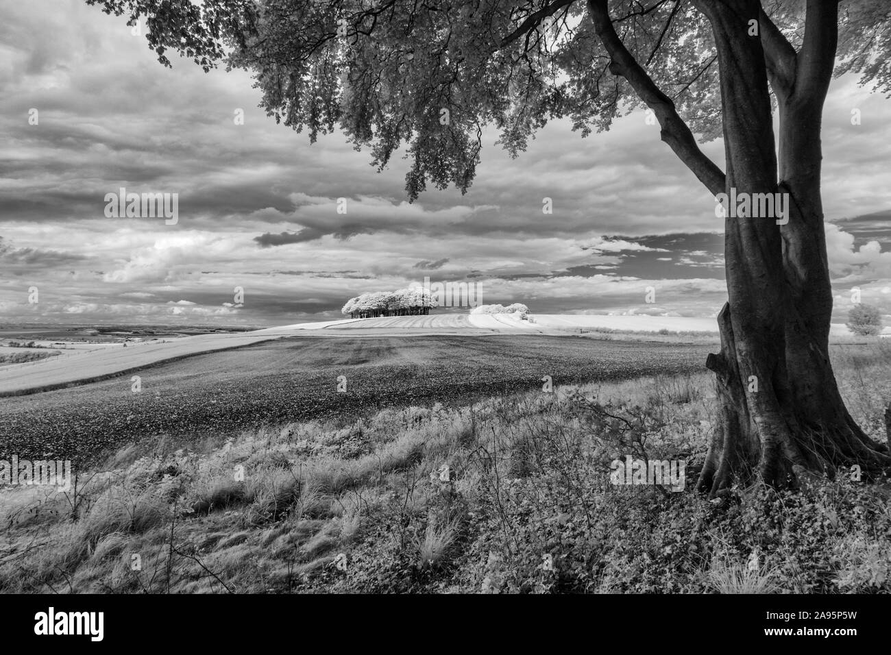 Black and white ridgeway path hi-res stock photography and images - Alamy