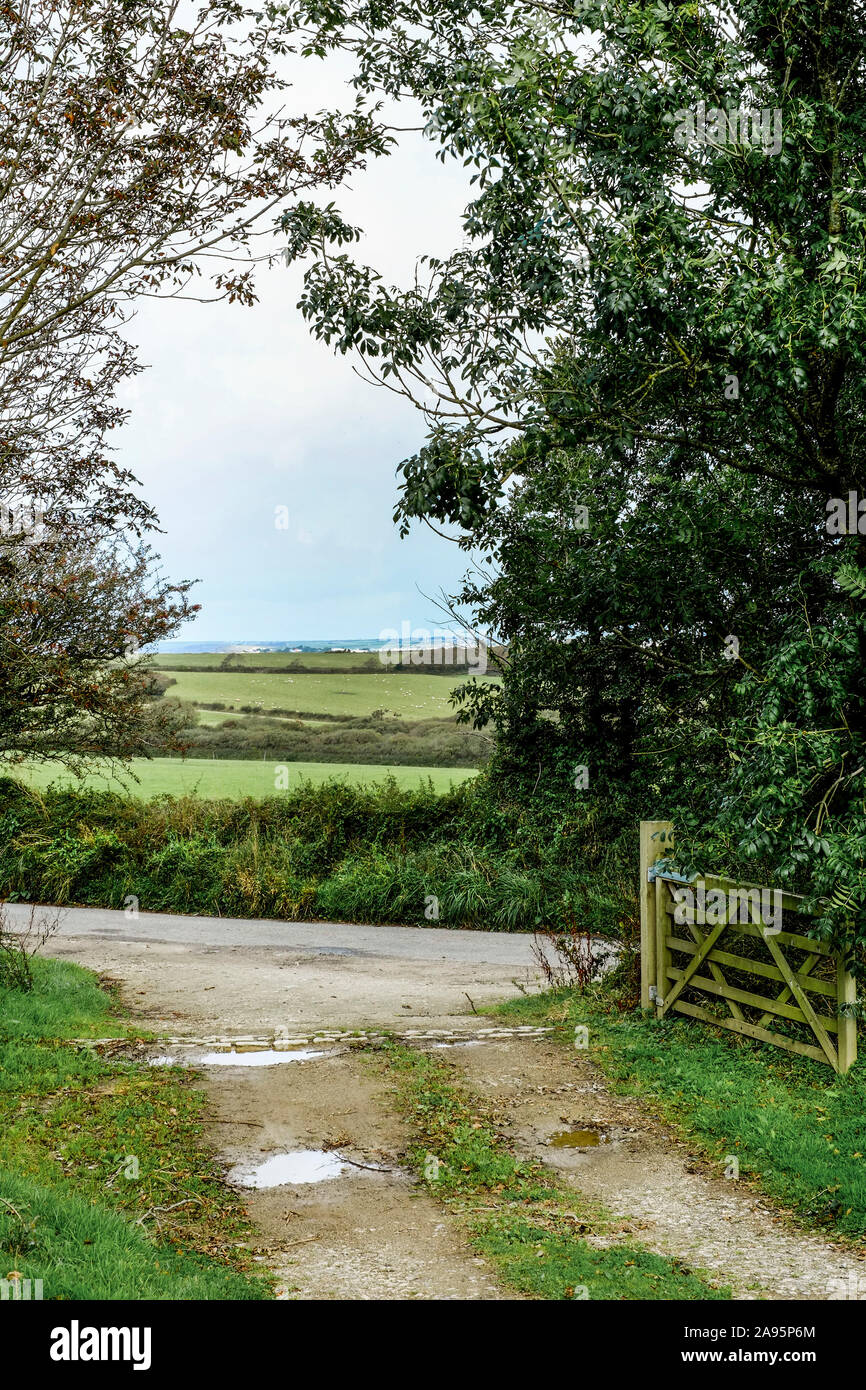 The Cornish countryside Stock Photo - Alamy