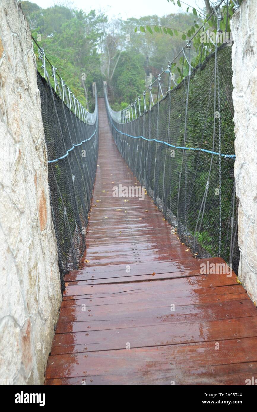 Hanging bridge in Mexico Stock Photo - Alamy