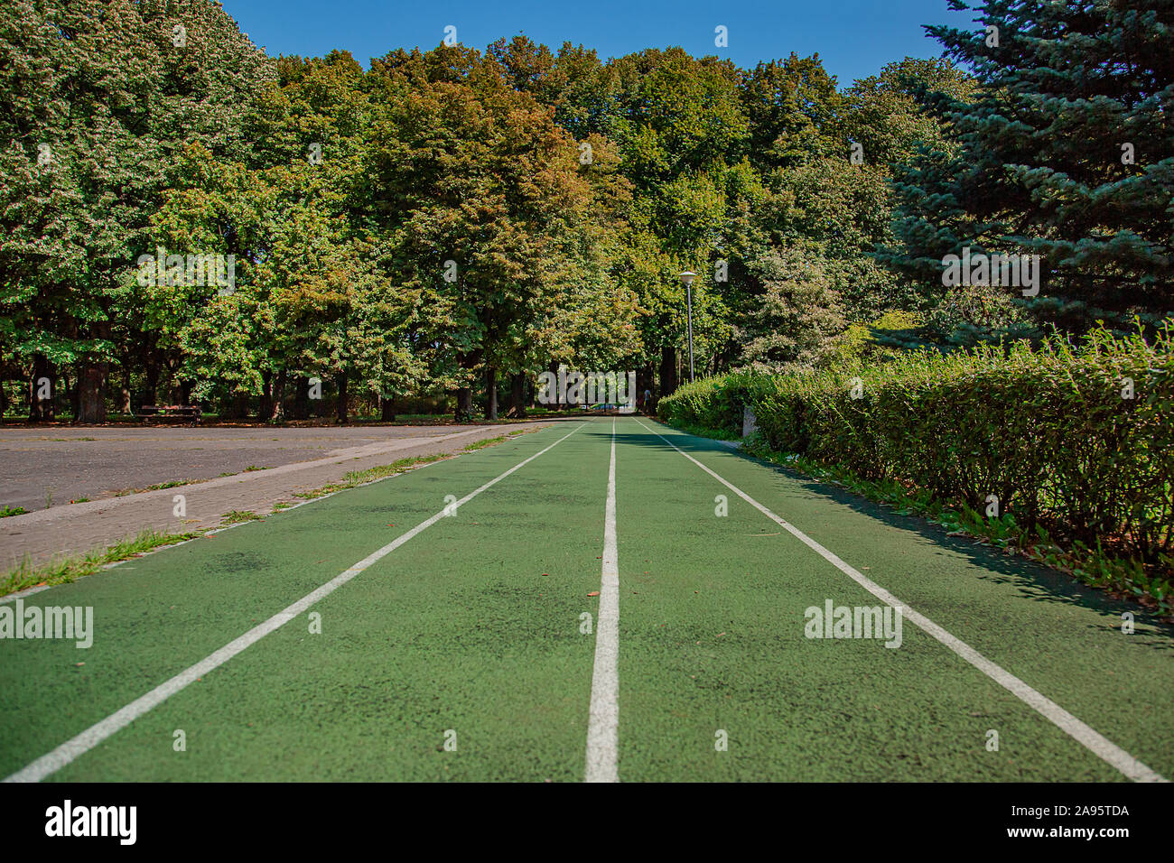 Empty green treadmill in artificial turf on a clear sunny day Stock ...