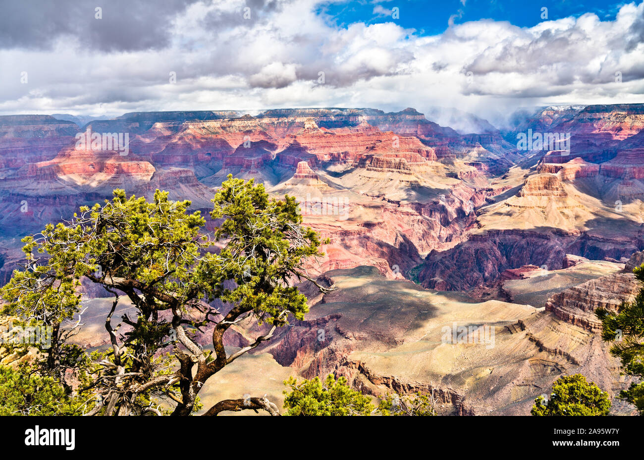 Grand Canyon as seen from Mather Point Stock Photo - Alamy