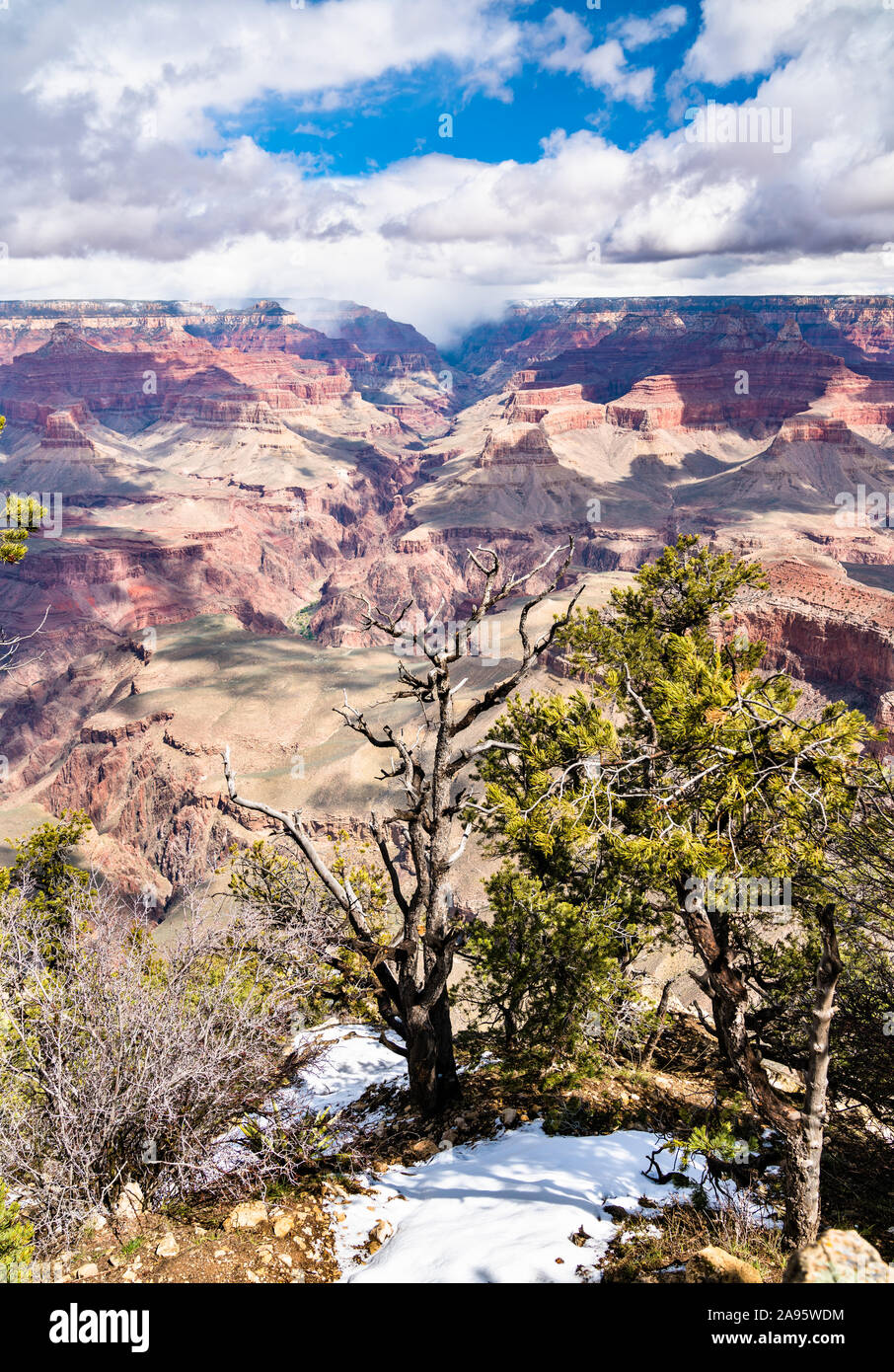 Grand Canyon as seen from Mather Point Stock Photo - Alamy