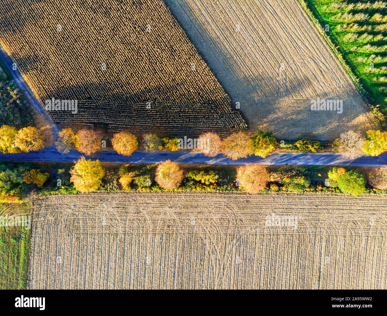 Aerial view of country road, autumn trees and ploughed fields, top down ...