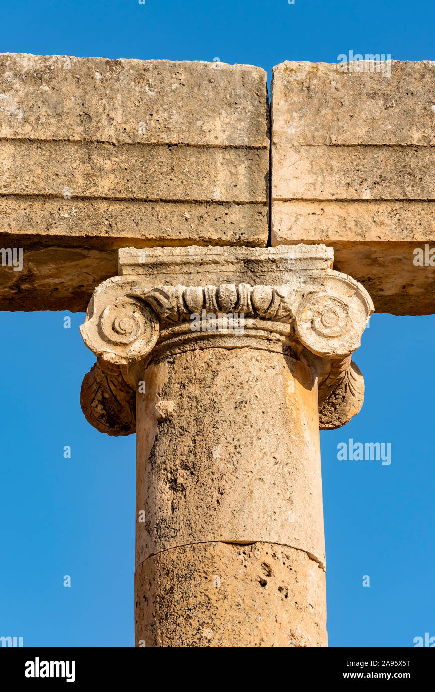 Ionic column hi-res stock photography and images - Alamy
