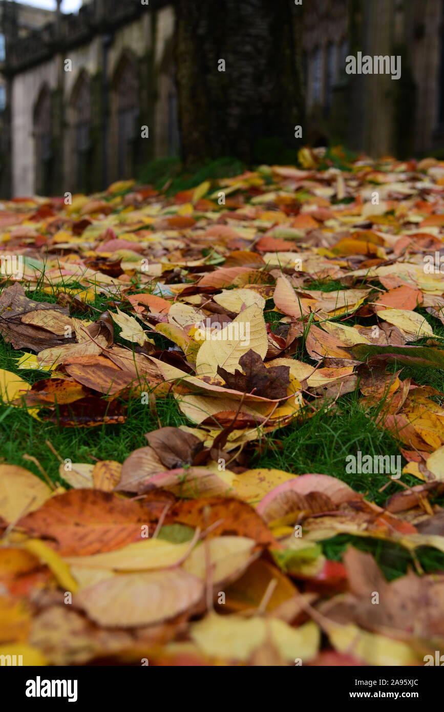 Fall leaves in churchyard hi-res stock photography and images - Alamy