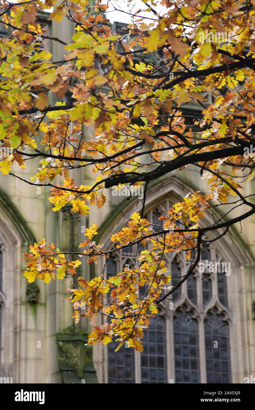 Autumn in Churchyard Stock Photo - Alamy