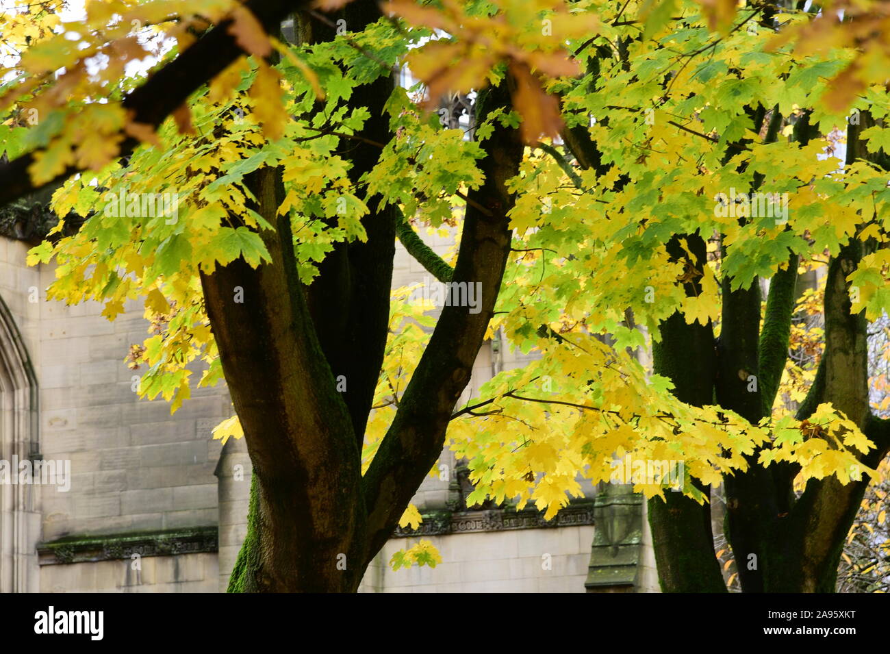 Autumn in Churchyard Stock Photo - Alamy