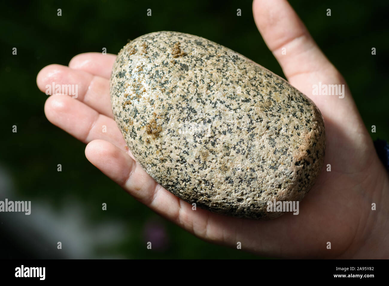 Wet granite stone in hand Stock Photo - Alamy