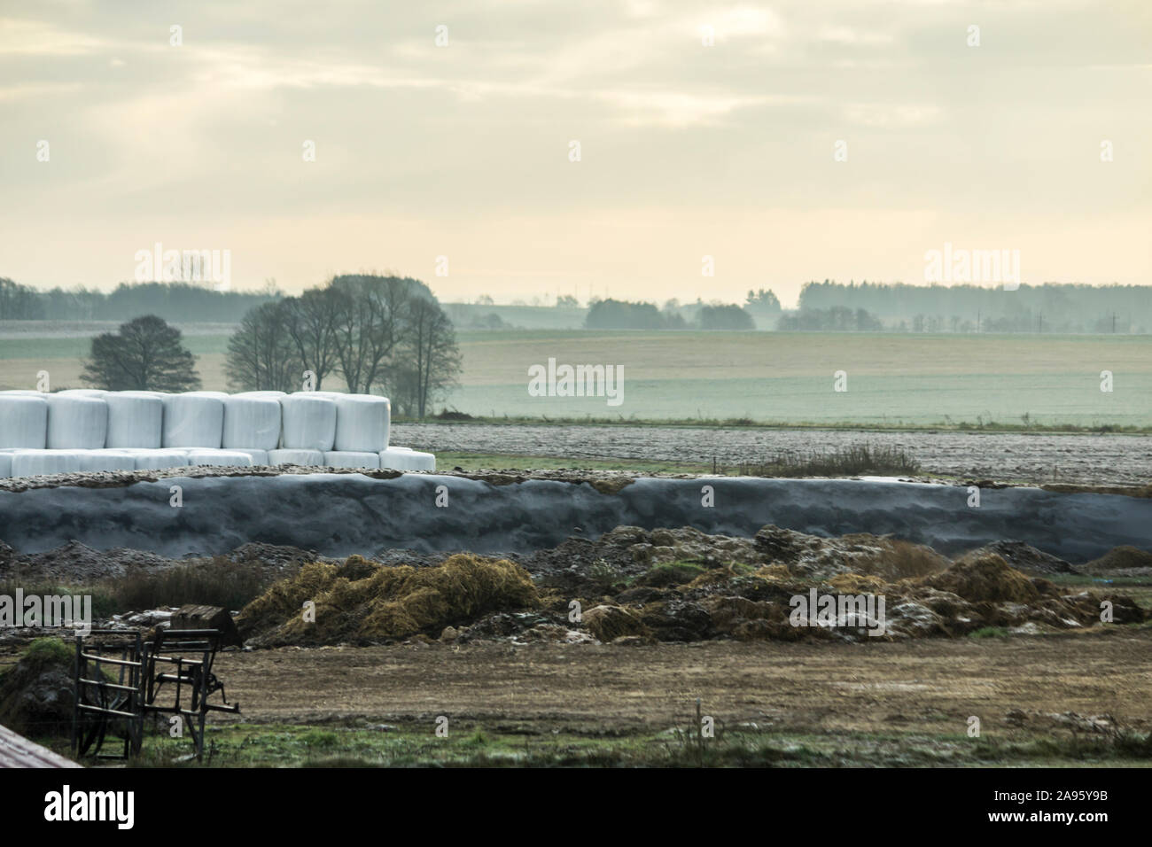 Early morning . Silo bales and silo pits stacked in a pyramid. Against ...