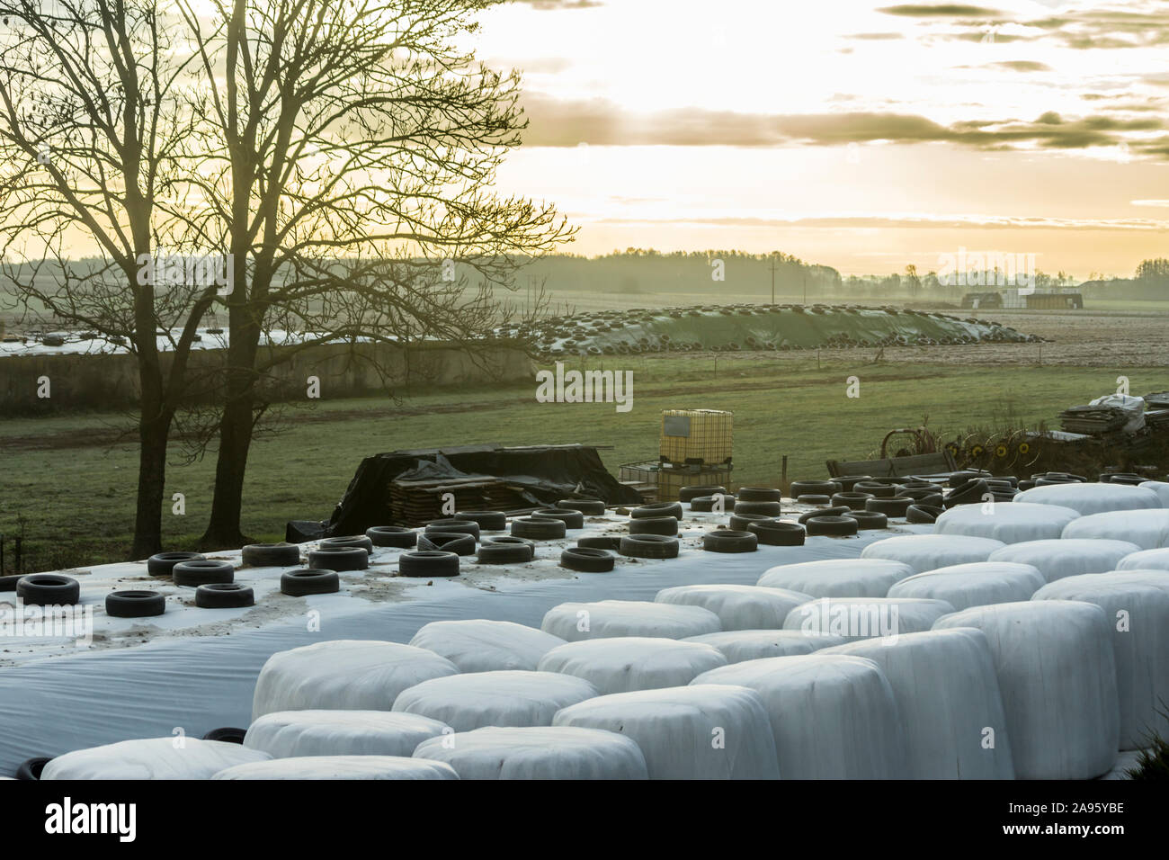 Bunker silo hi-res stock photography and images - Alamy