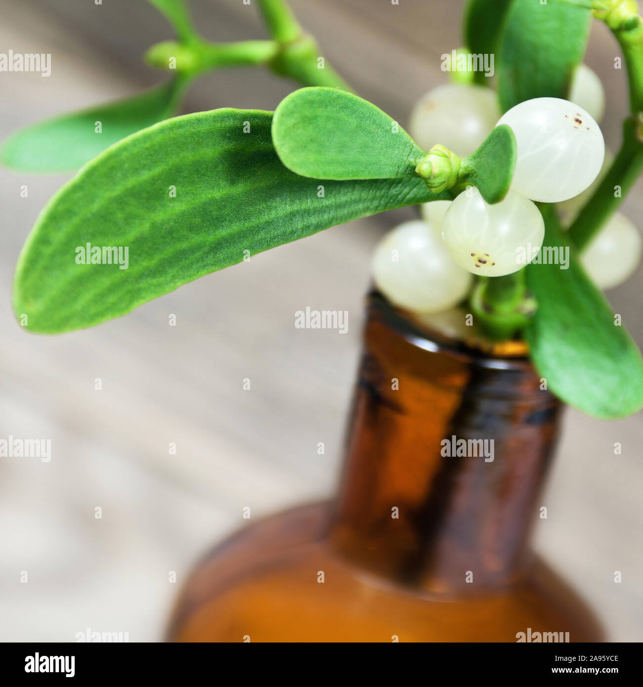 Mistletoe therapy hi-res stock photography and images - Alamy