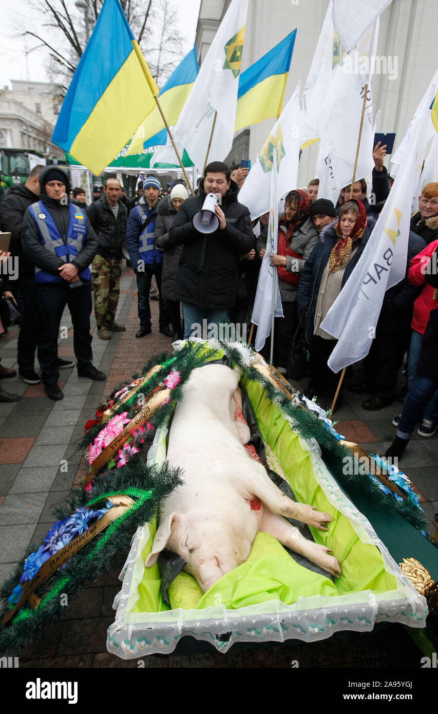 Kiev, Ukraine. 13th Nov, 2019. A dead pig in a coffin symbolic for ...
