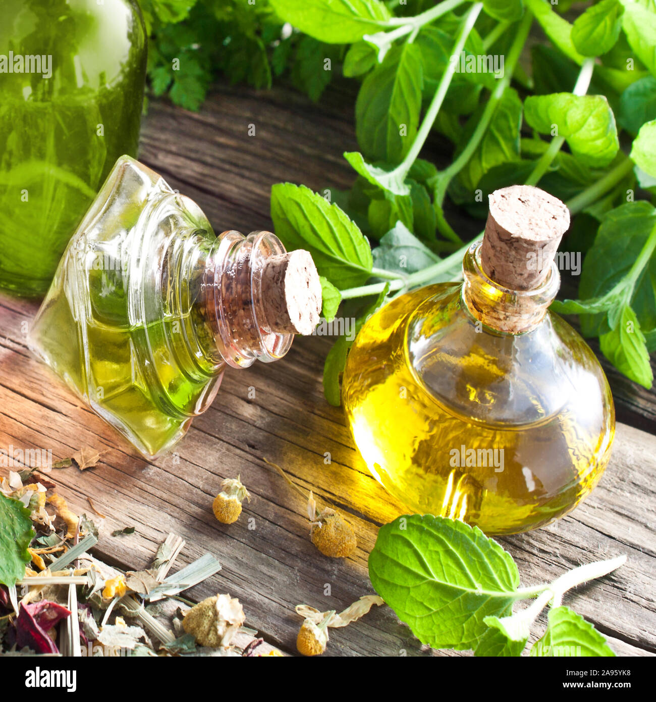 Healthy herbage hi-res stock photography and images - Alamy