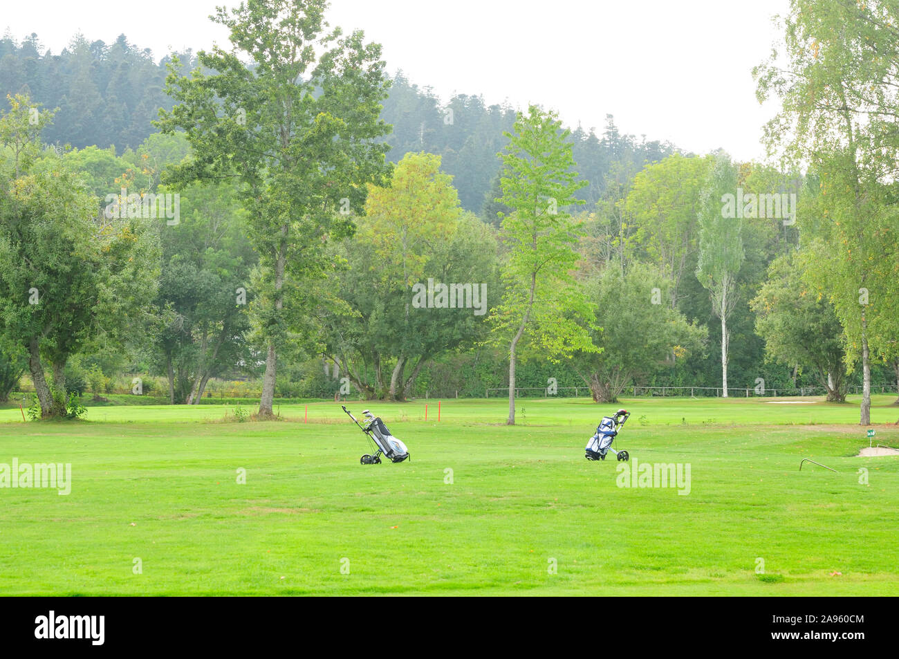 Golf course with players in spring Stock Photo - Alamy