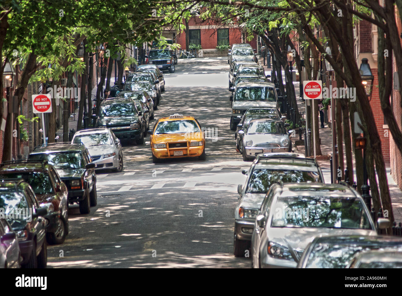 Yellow taxi cab on a shady treed street in Boston, MA Stock Photo - Alamy