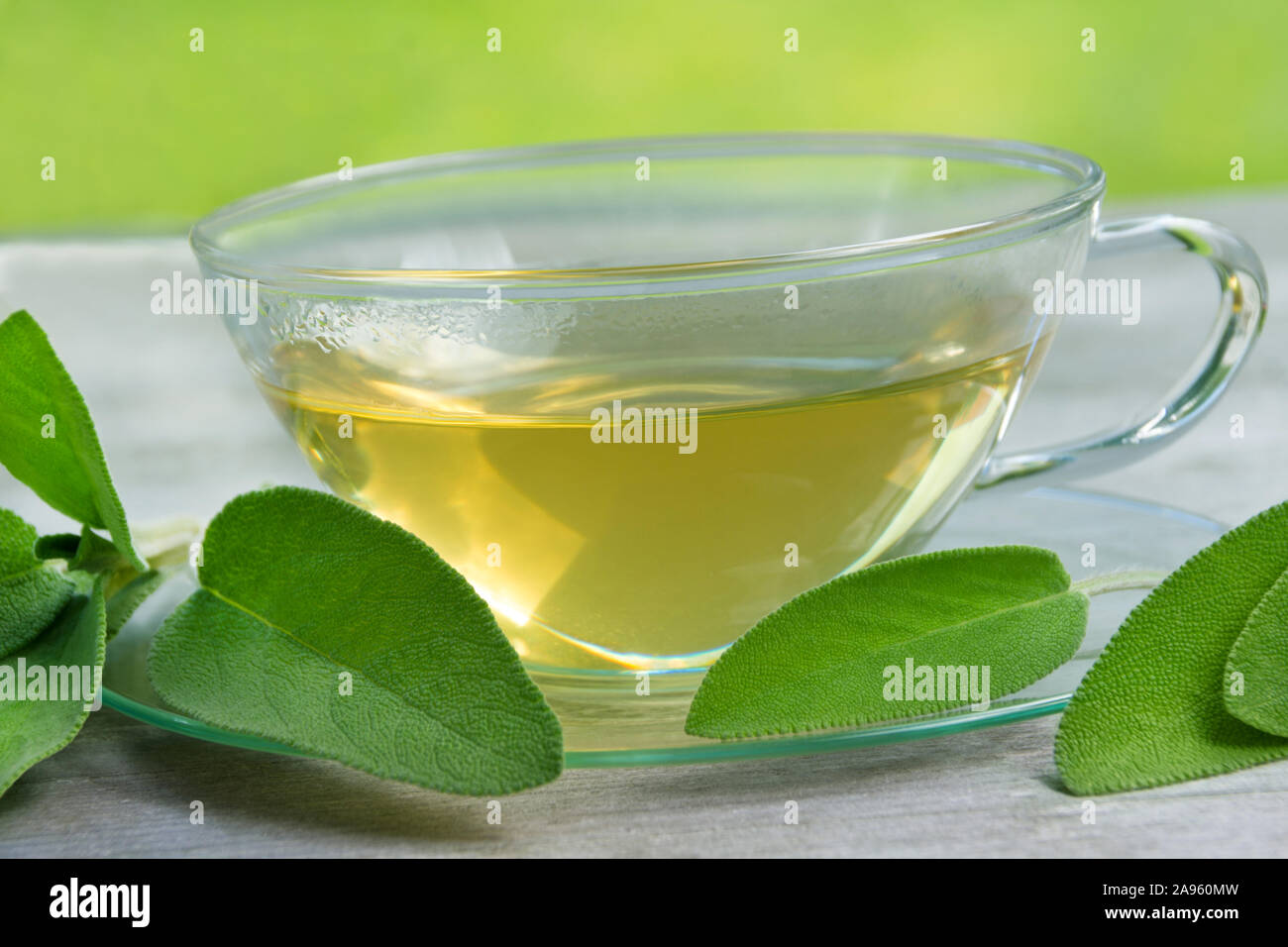 Sage - Tea Stock Photo - Alamy