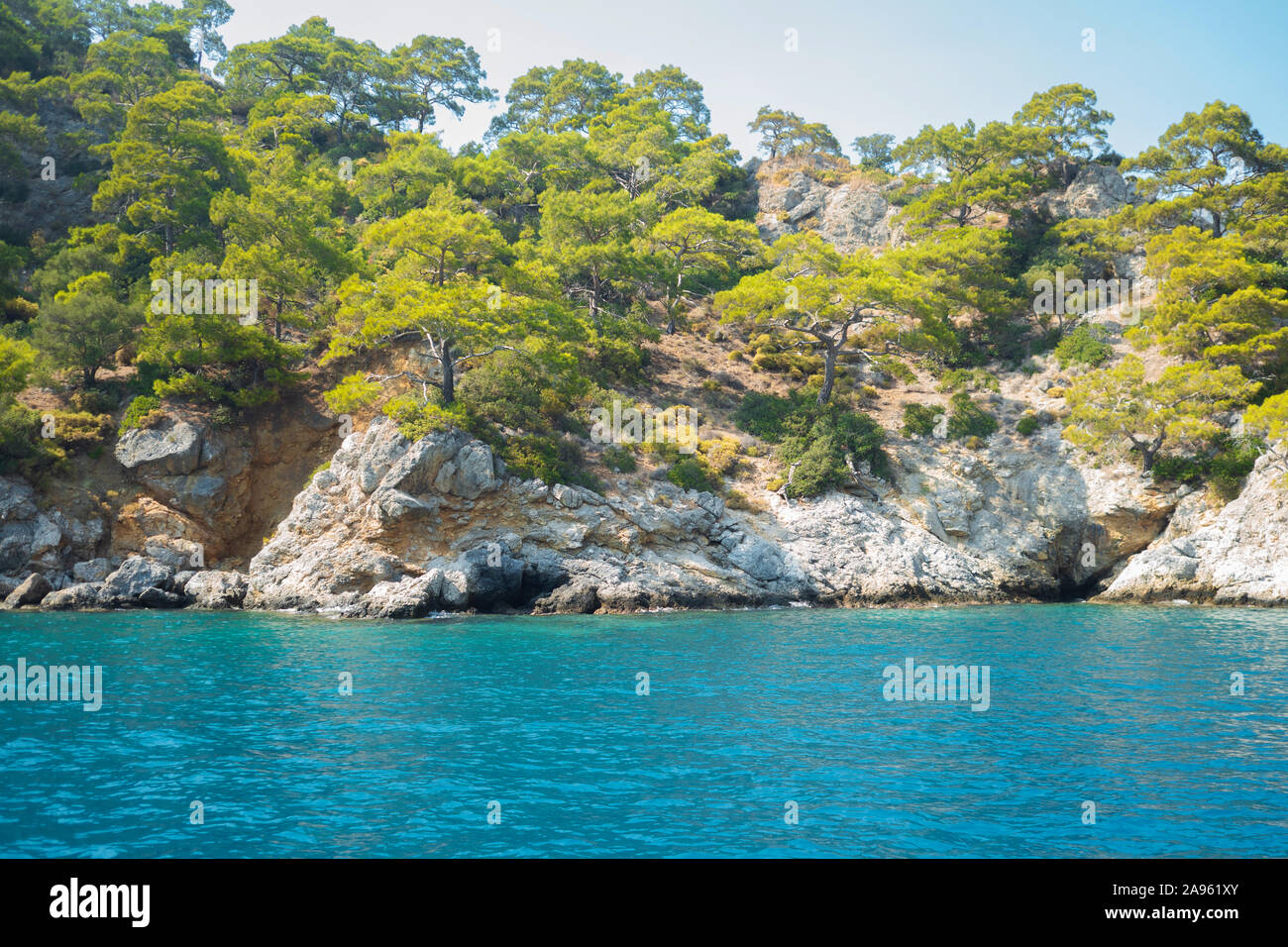 Beautiful rocky coast of the southern coast of Turkey. Coniferous trees ...