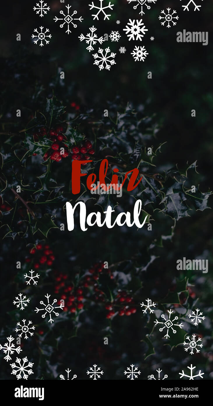 Illustration with "Feliz Natal" written in Portuguese language, with ...