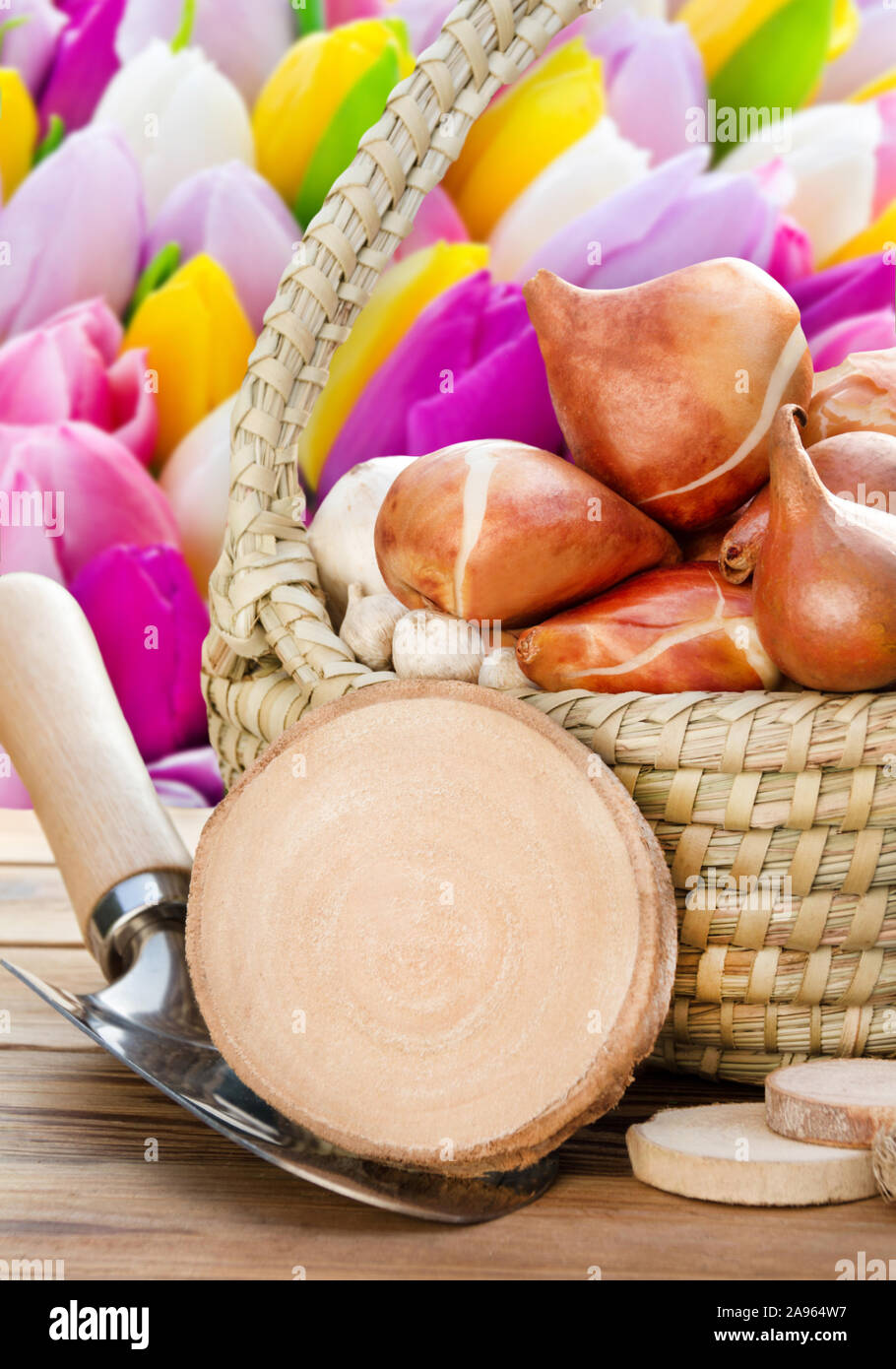 Plant bulb label hi-res stock photography and images - Alamy