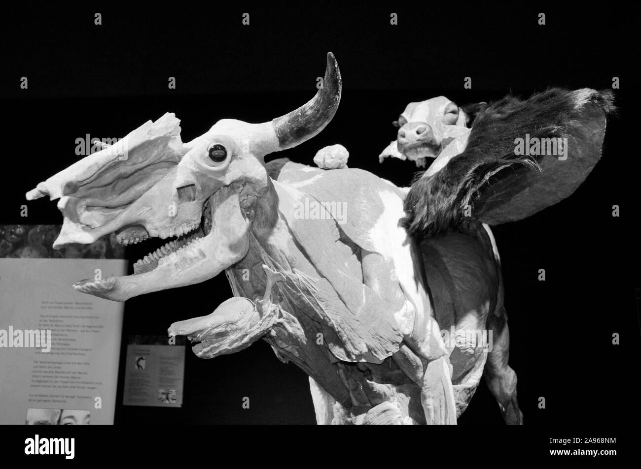 Zürich: Gunten Von Hagens highly controversial, bizarr but also ...