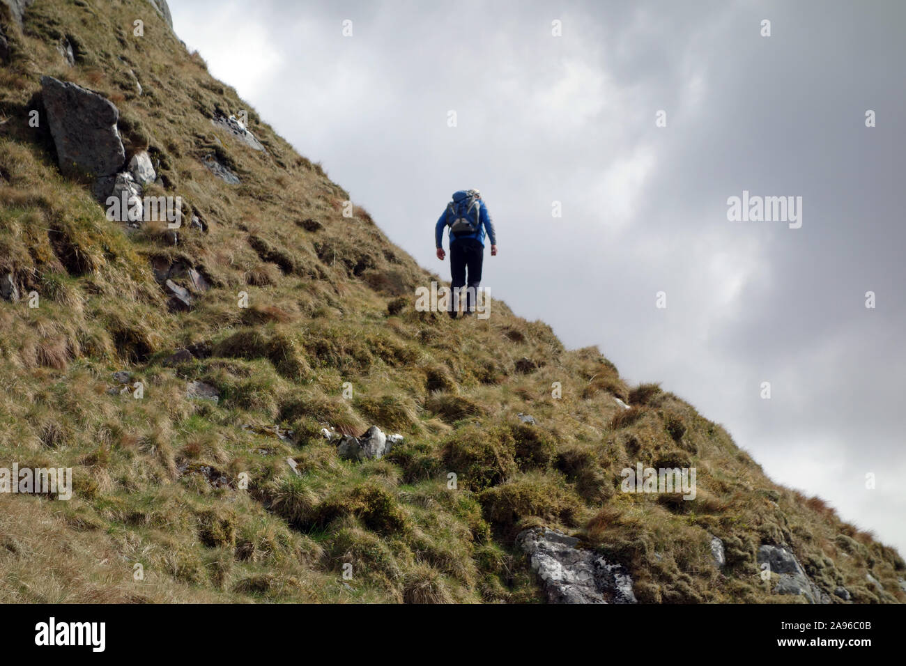 Lone Man Climbing up Grass on the Scottish Mountain Corbett Stob Dubh ...