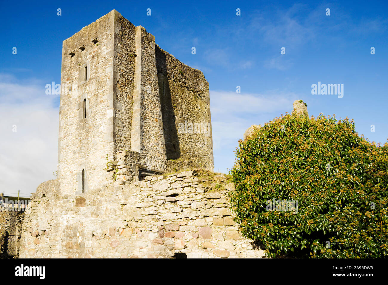 The remains of the medieval abbey in the town of Cahir in County ...