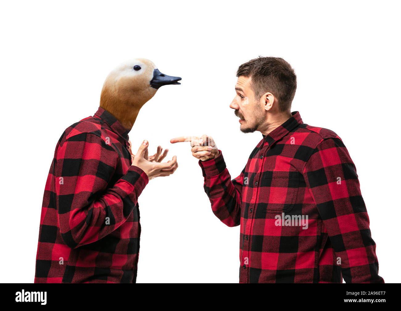 Angry goose man not skin hi-res stock photography and images - Alamy