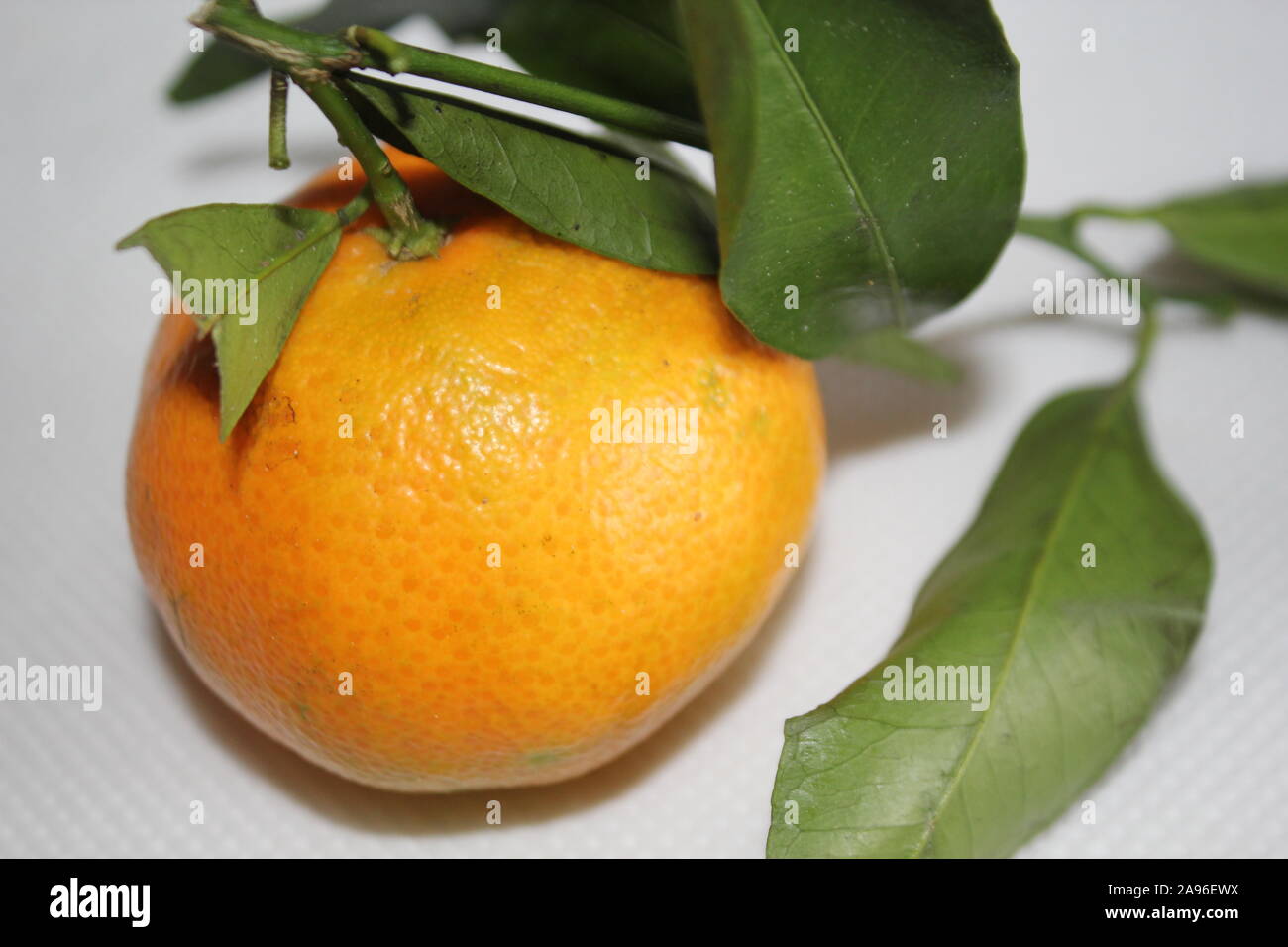 Fresh orange tasty fruit image Stock Photo - Alamy