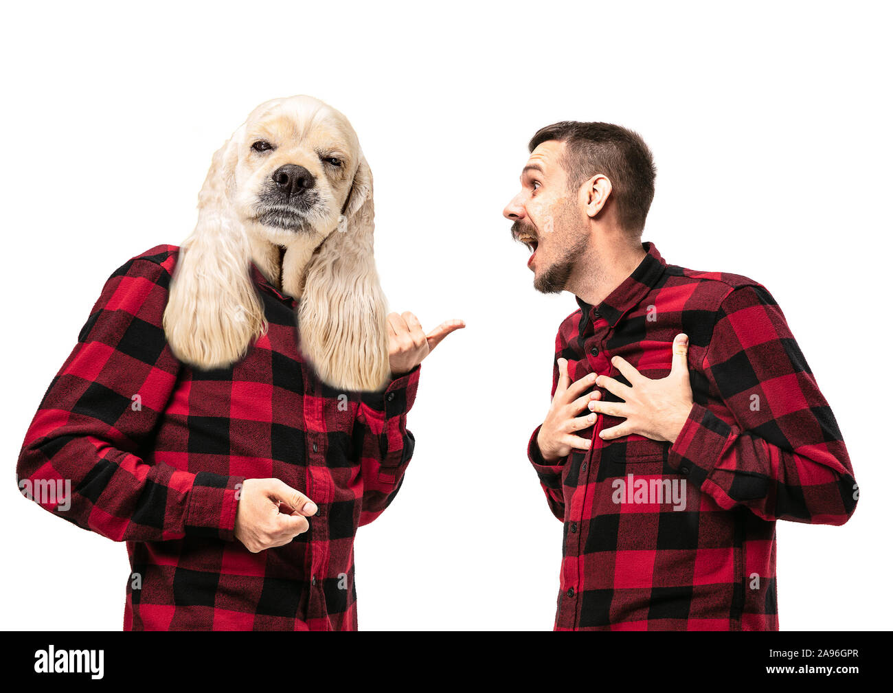Portrait of man arguing with himself as a dog on white studio ...