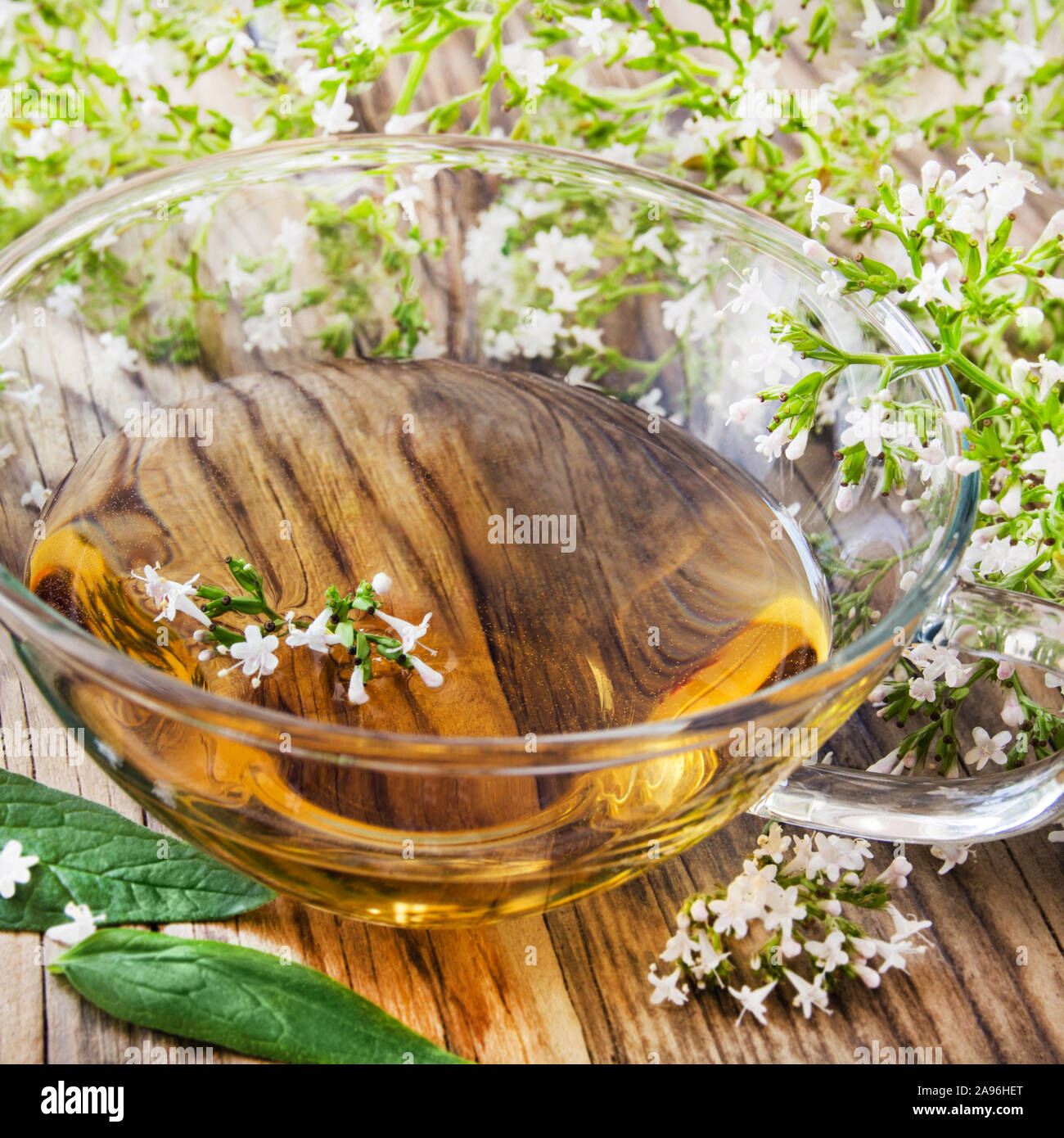 Valerian tea medicine and glass cup Stock Photo - Alamy