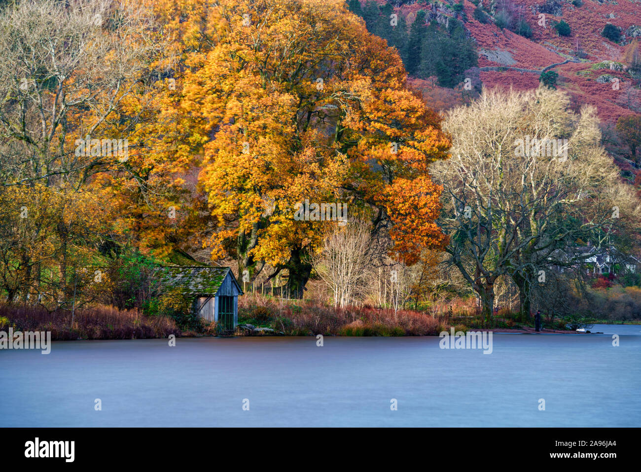 Old boathouse on Grasmere Lake surrounded by autumn colour in the Lake ...