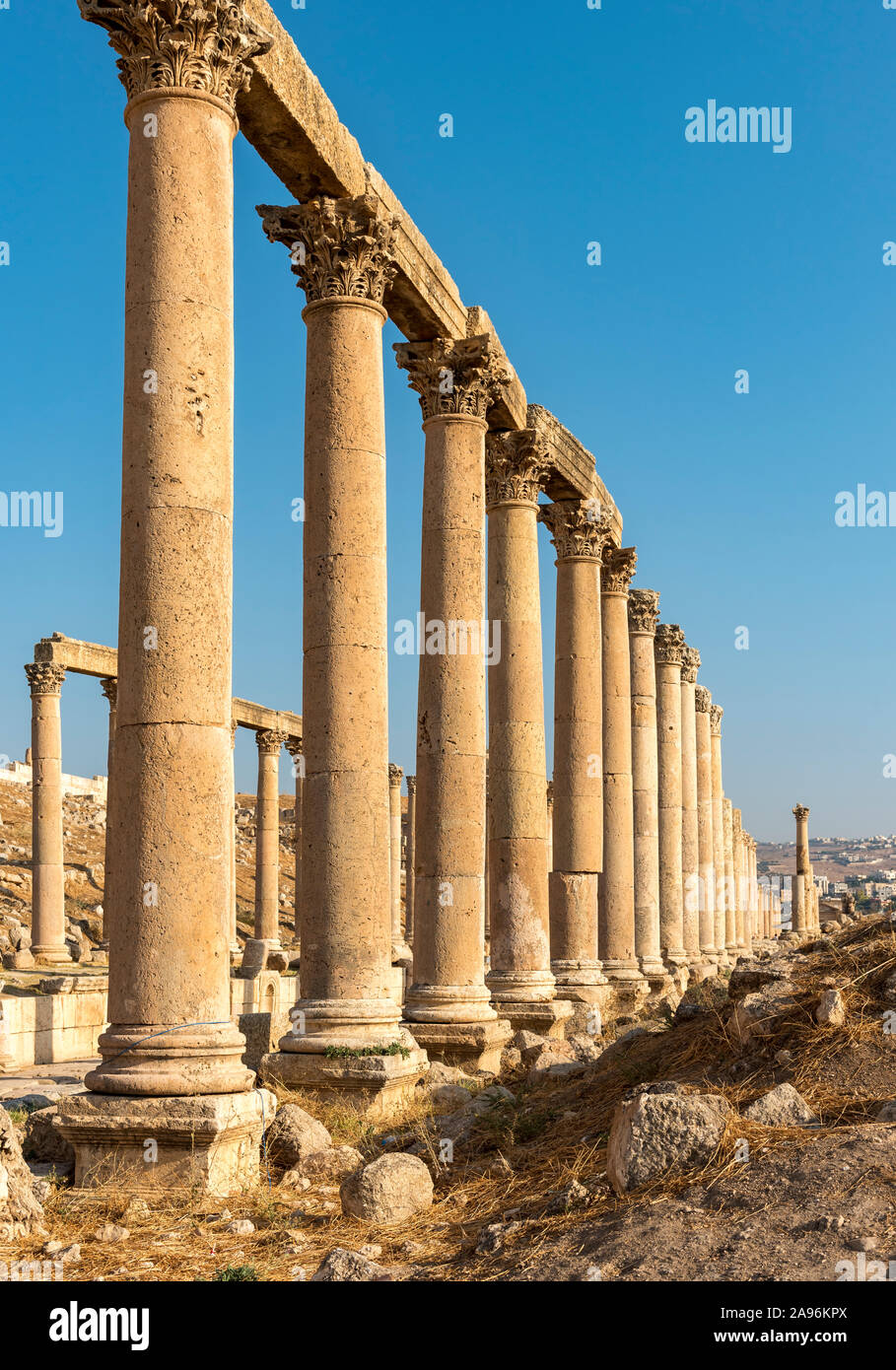 Columns of Cardo Maximus street, Jerash, Jordan Stock Photo - Alamy