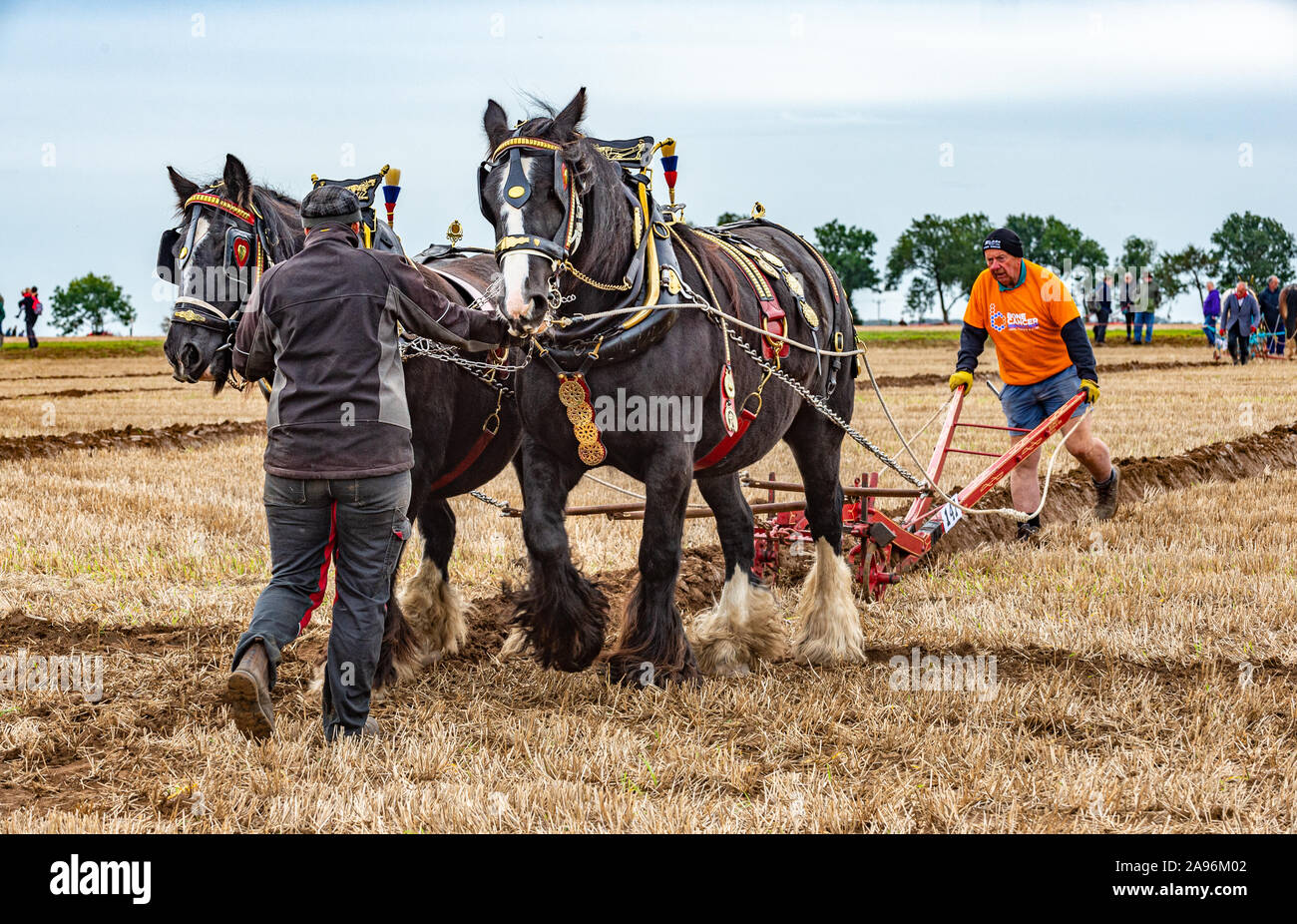 Ploughing competition hi-res stock photography and images - Alamy