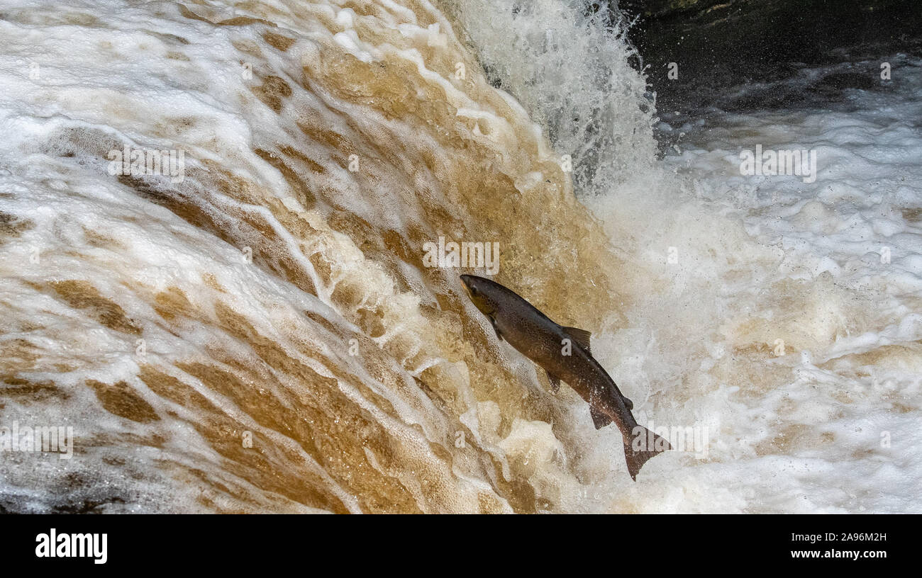 Upper ribble river hi-res stock photography and images - Alamy