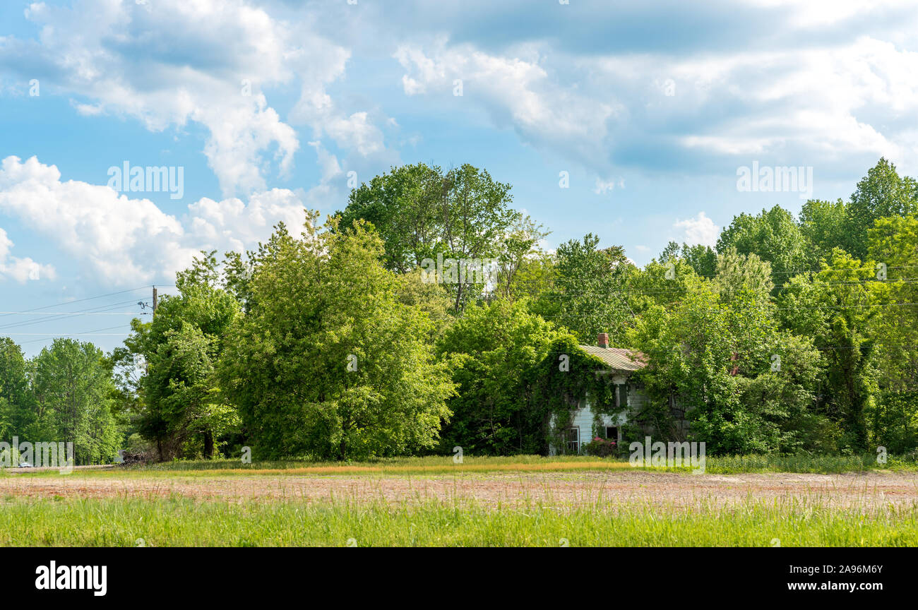 Dilapidated, rundown old farmhouse in field surrounded by trees Stock Photo - Alamy