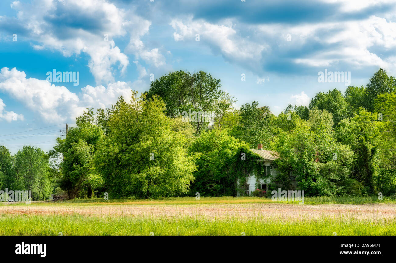Dilapidated, rundown old farmhouse in field surrounded by trees Stock Photo - Alamy