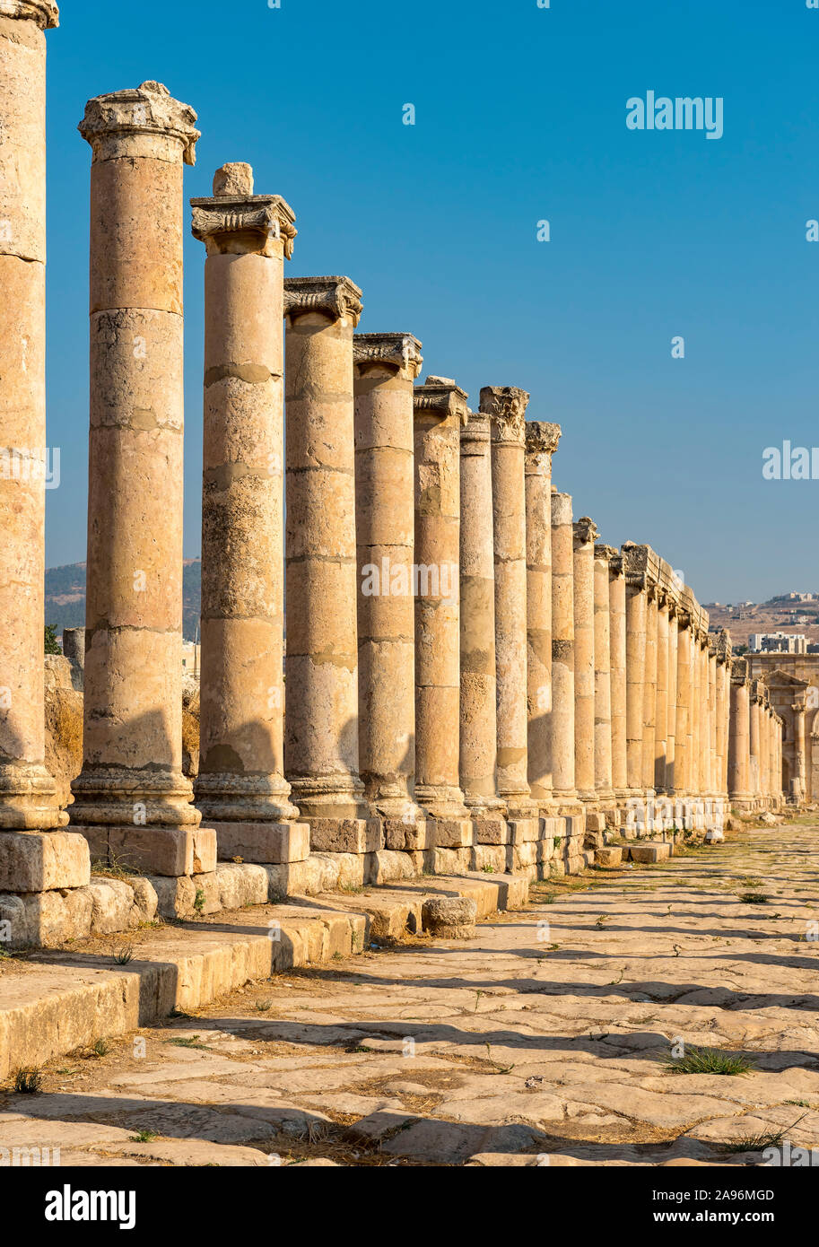Columns of Cardo Maximus street, Jerash, Jordan Stock Photo - Alamy
