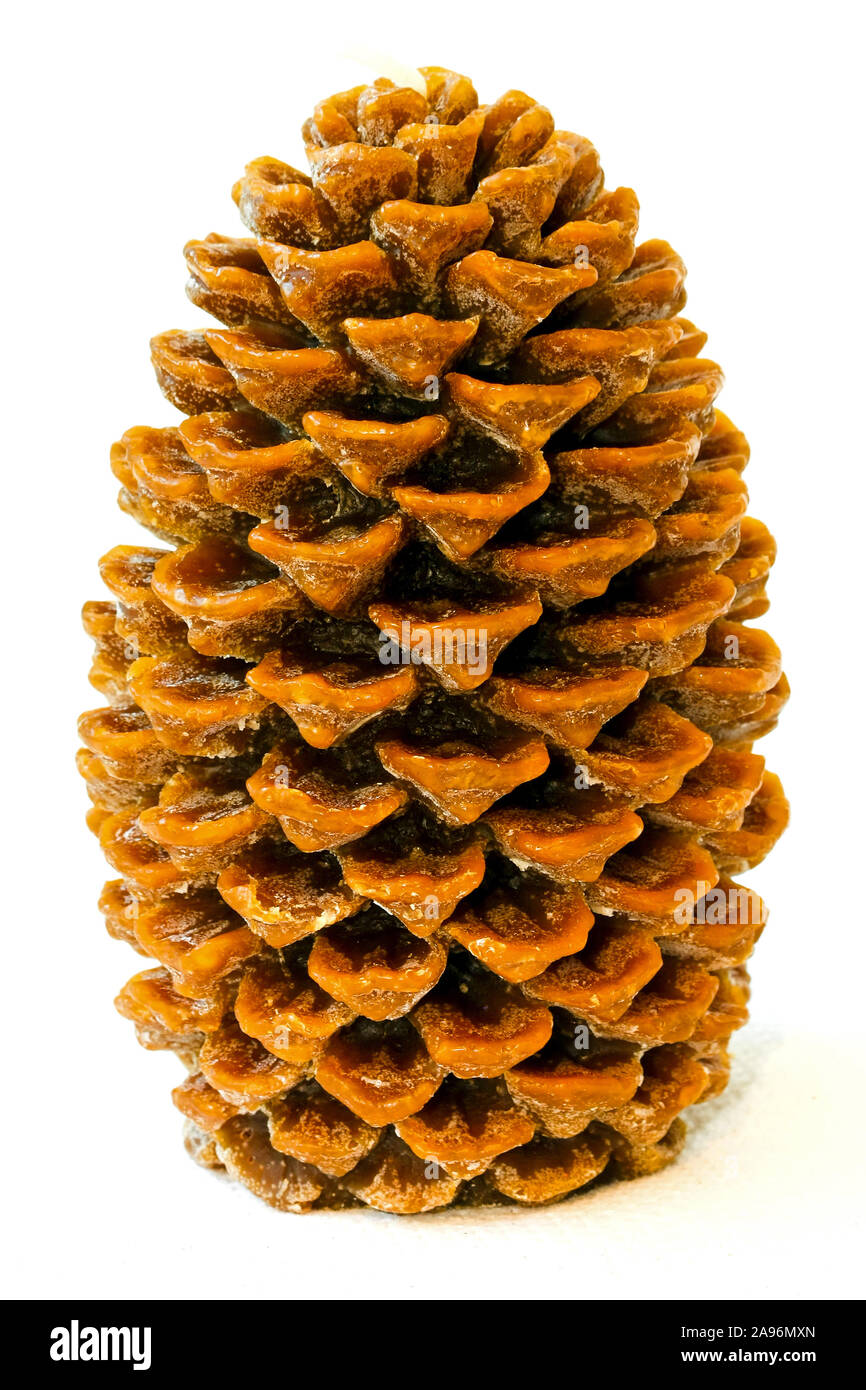 Wax cone Cut Out Stock Images & Pictures - Alamy