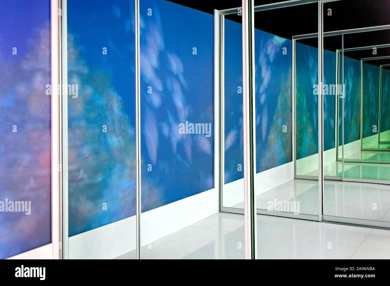 Reflection Mirror Endless