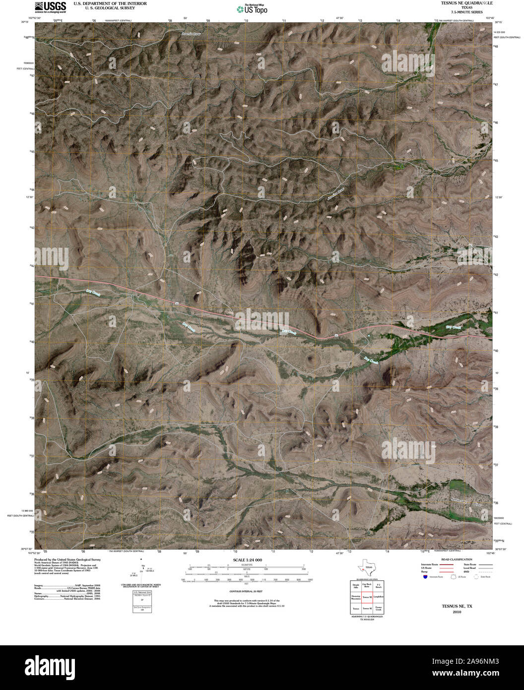 Tesnus Cut Out Stock Images & Pictures - Alamy