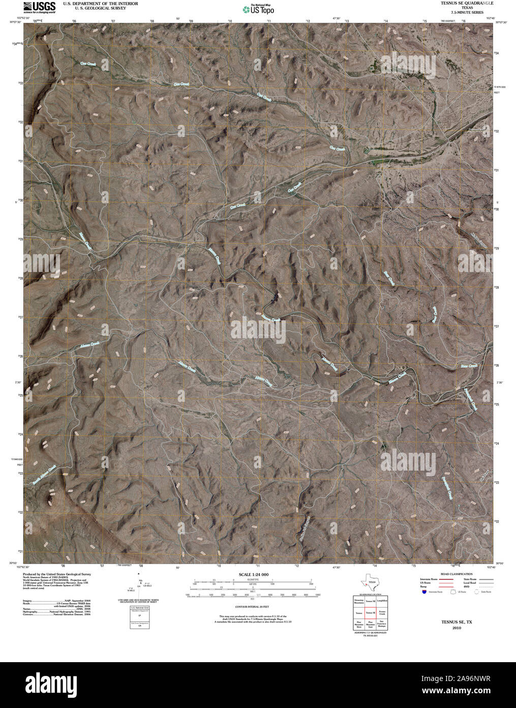 Tesnus Cut Out Stock Images & Pictures - Alamy