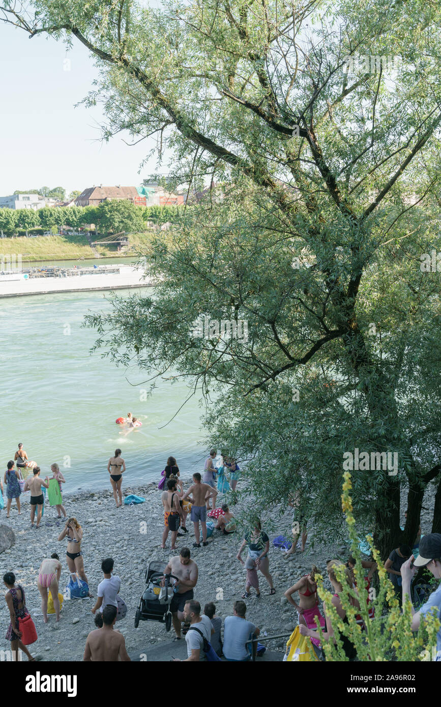 Basel Leaves High Resolution Stock Photography and Images - Alamy