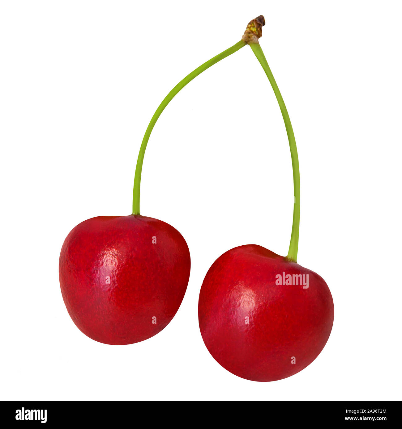 Two cherries against white background Stock Photo - Alamy