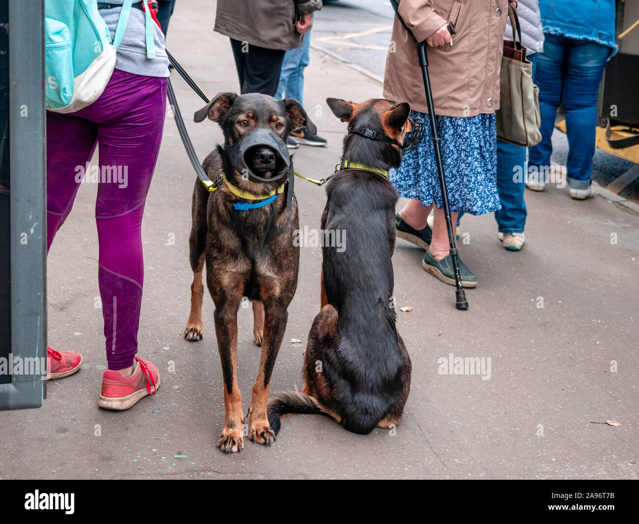 Moscow, Russia - September 14, 2019: People stand at a public transport ...