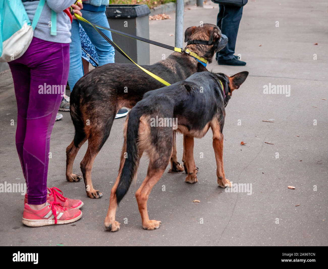 Moscow, Russia - September 14, 2019: People stand at a public transport ...
