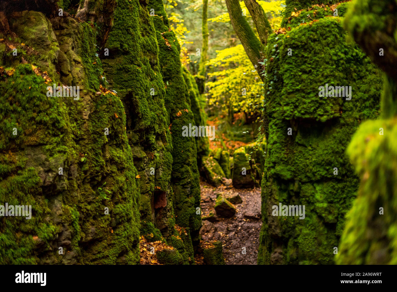 Forest of dean and wye valley school of photography hi-res stock ...